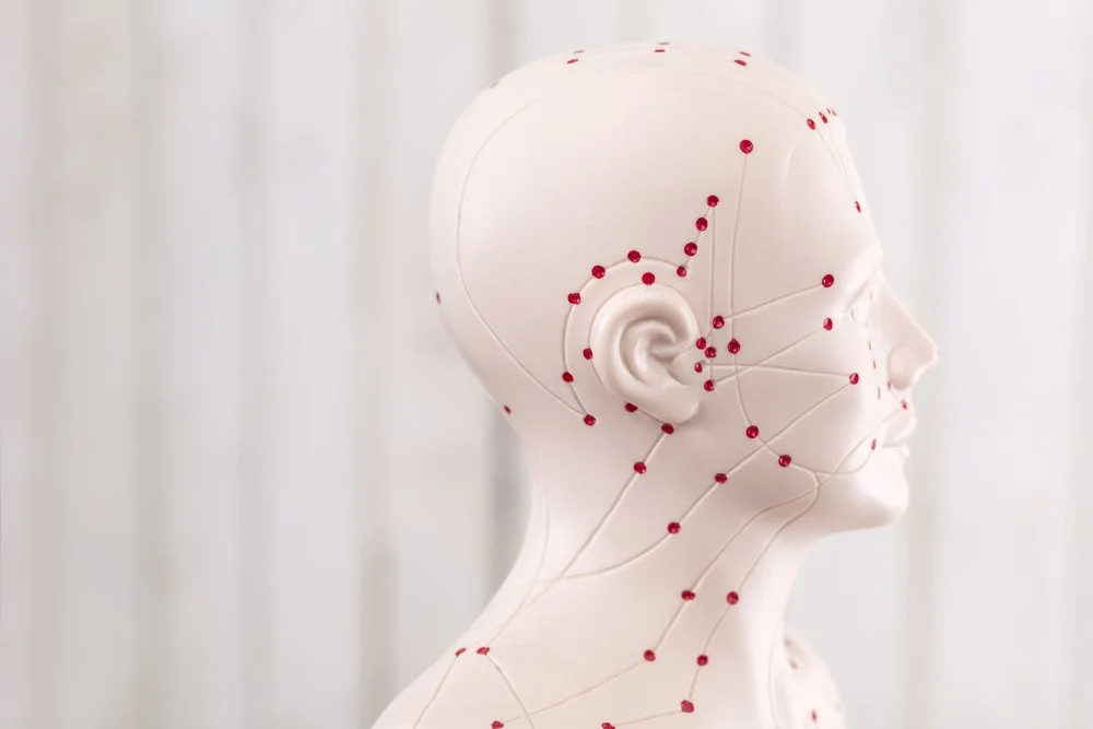 Meridian Therapy - TCM Energy Channels for Holistic Healing — Mighty ...