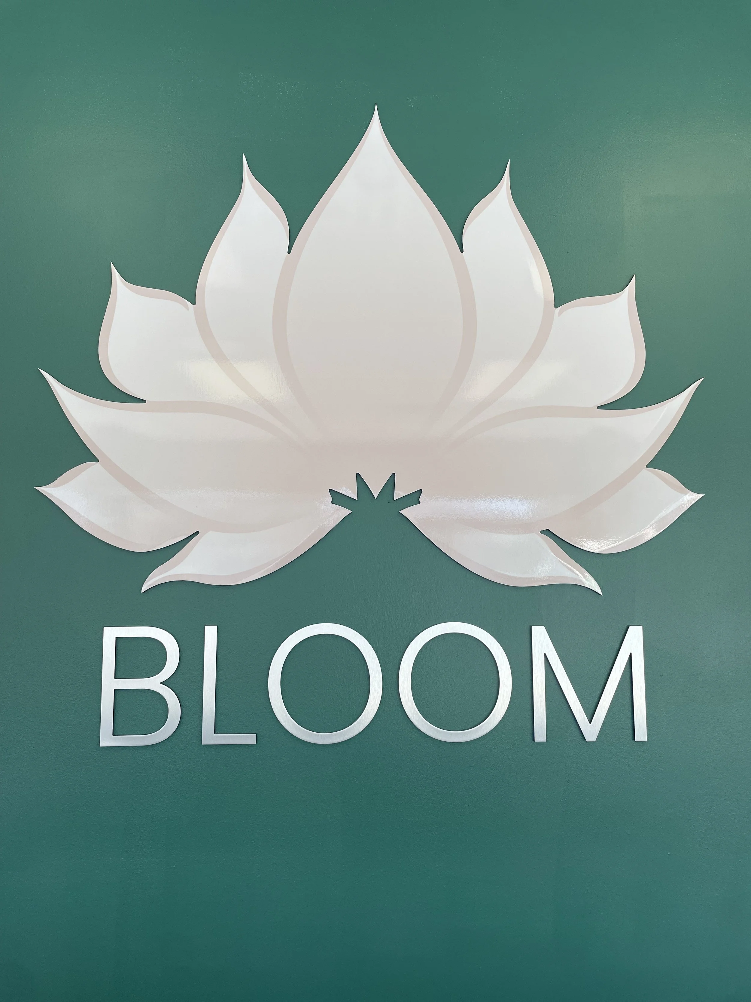 Bloom Pediatrics and Lactation