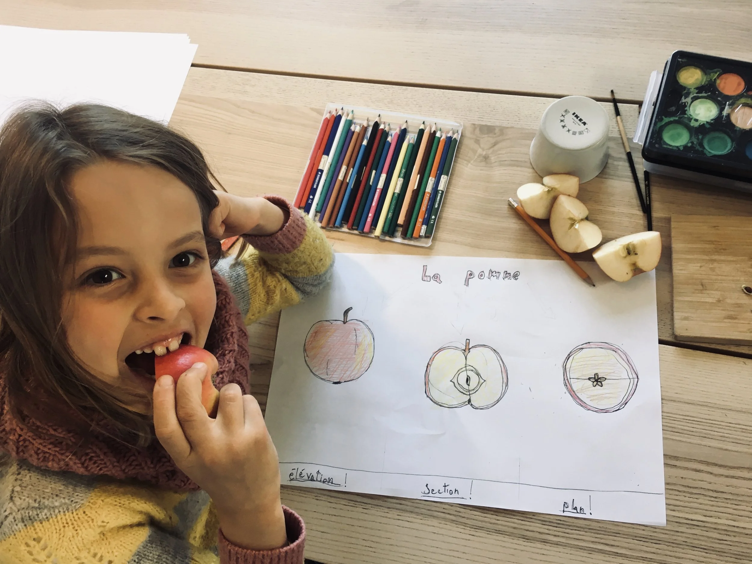 Home | Petit Architect