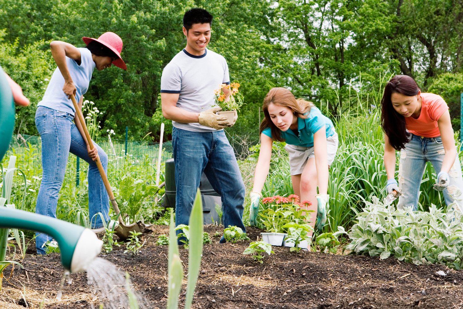How to Make Your Neighborhood More Eco-Friendly | Petit Architect