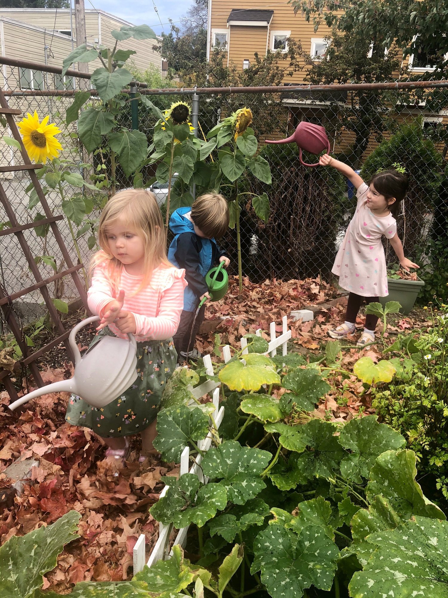 Philosophy — Community Day Center for Children