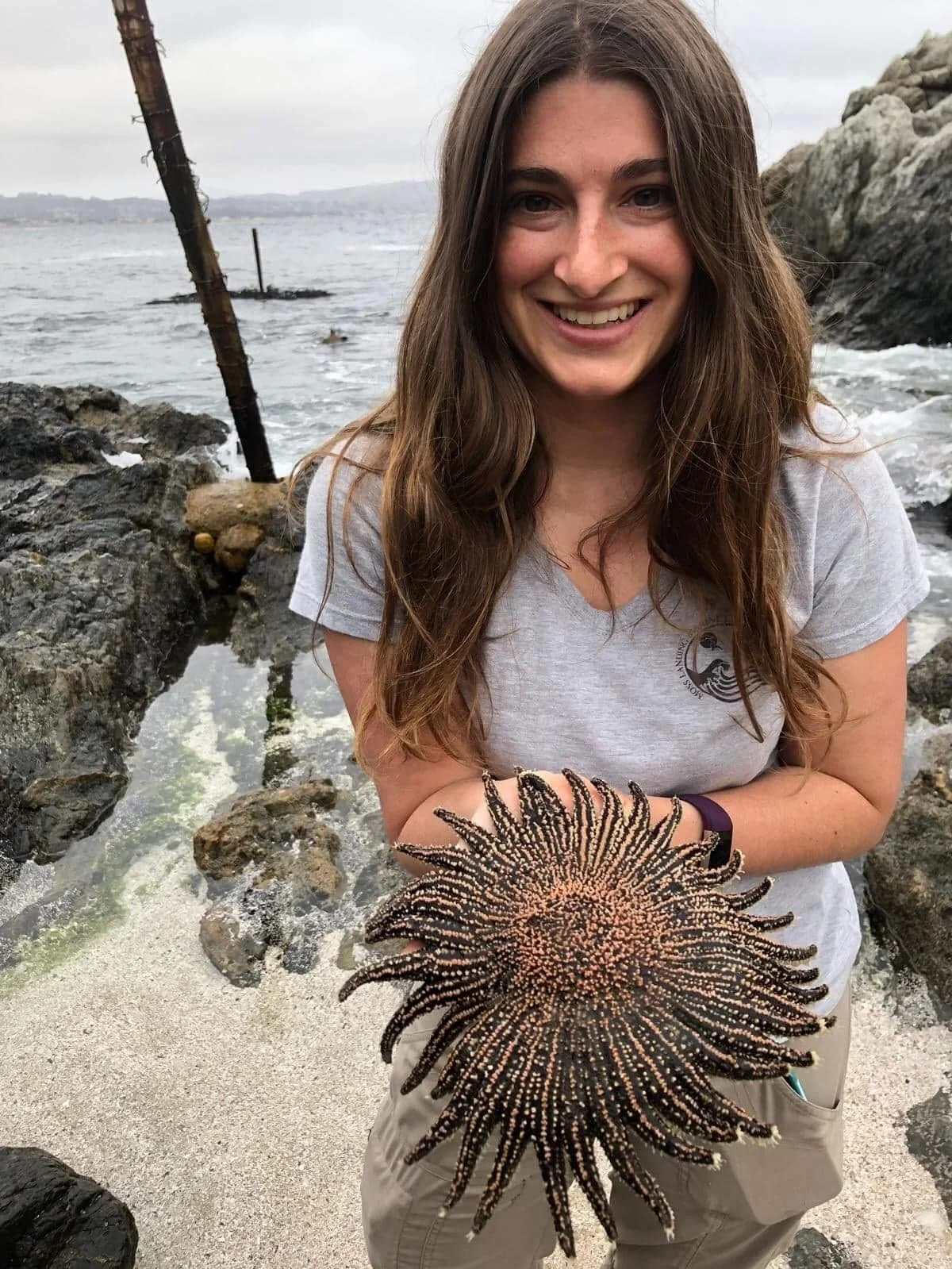 About — Amanda Heidt