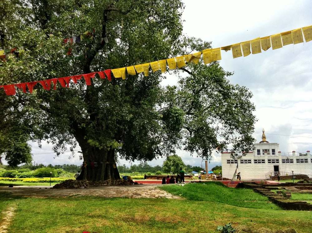 Lumbini — Nekhor