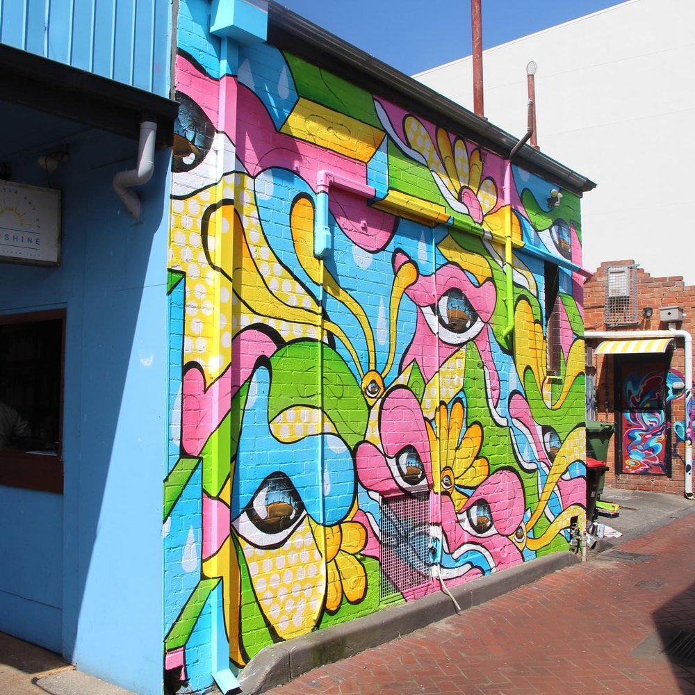 Sandringham Street Art Project - A Vibrant Mural by Melbourne Street ...