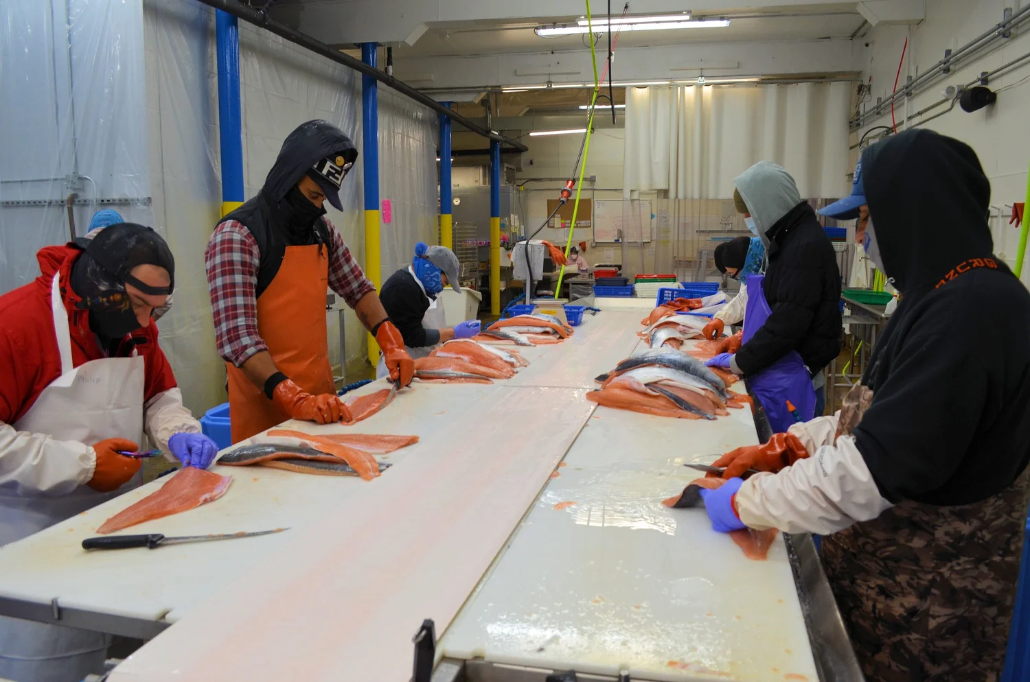 A Bone To Pick: Why We Sell Salmon Bone-In — Savory Alaska