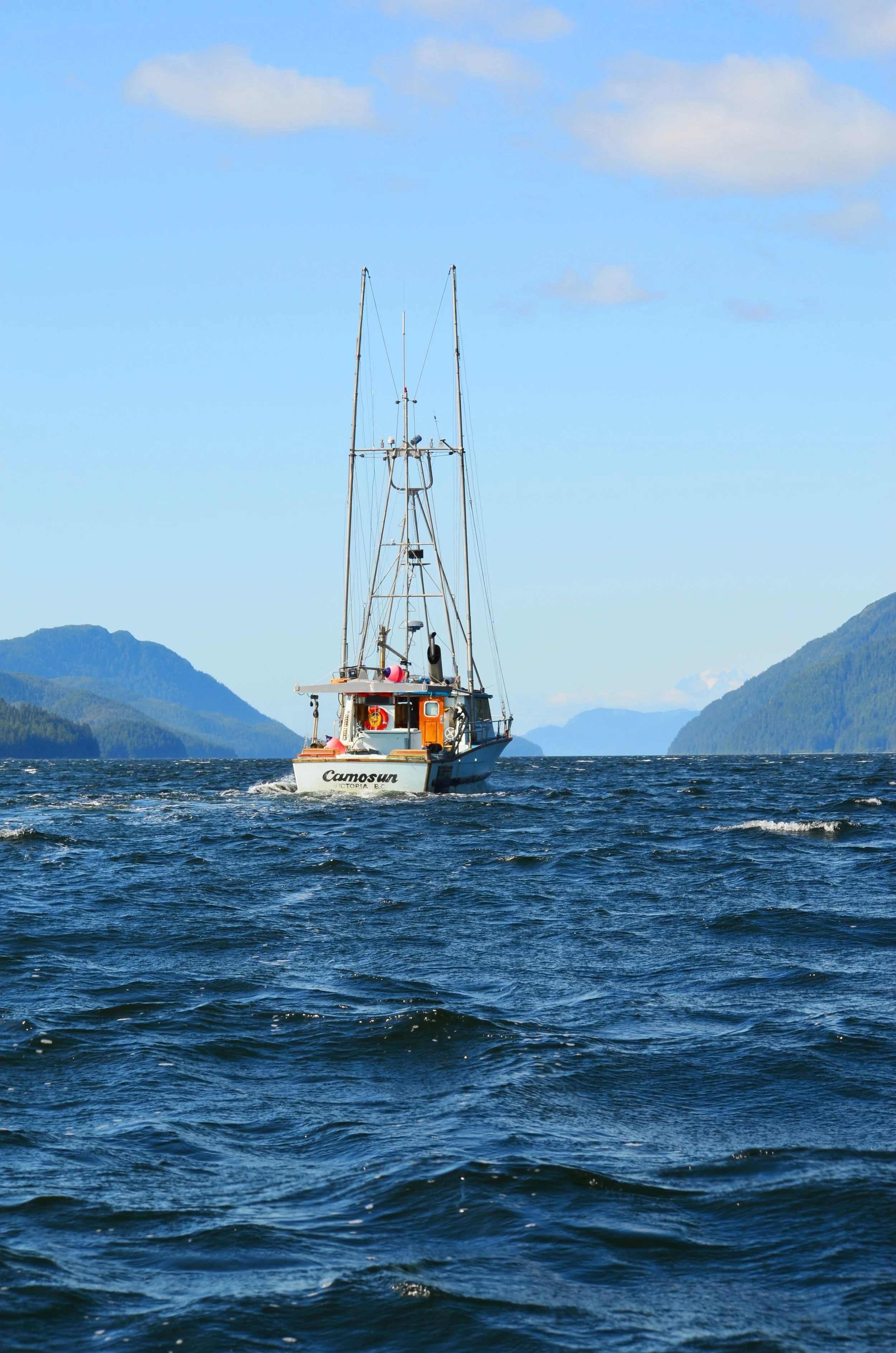 Alaska's Hook & Line King Salmon Fishery In Peril — Savory Alaska