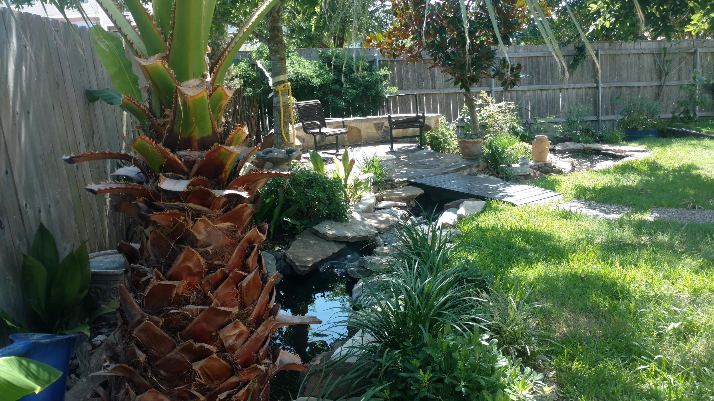 Austin Creative Landscaping