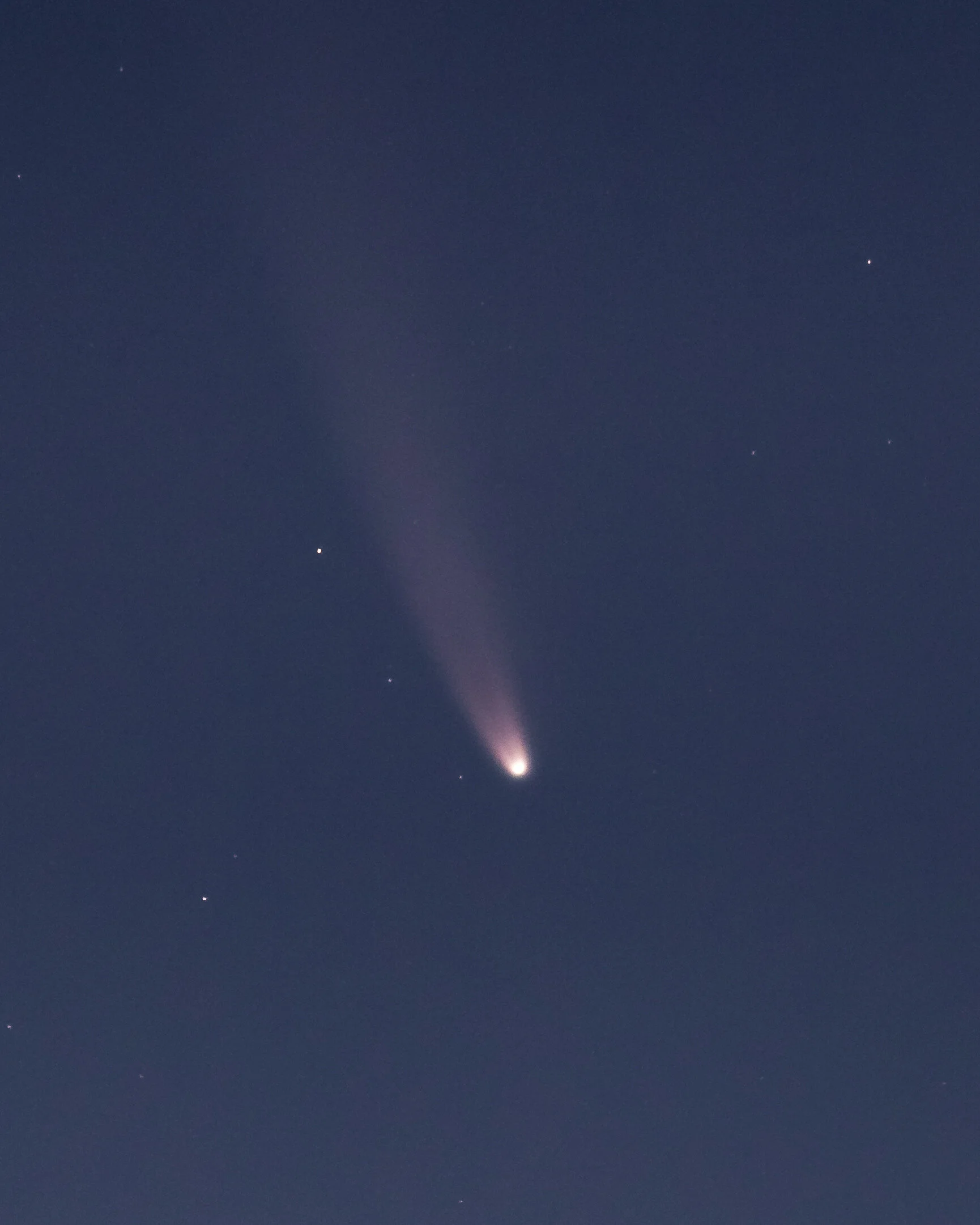 Comet NEOWISE — Gerri Whitley