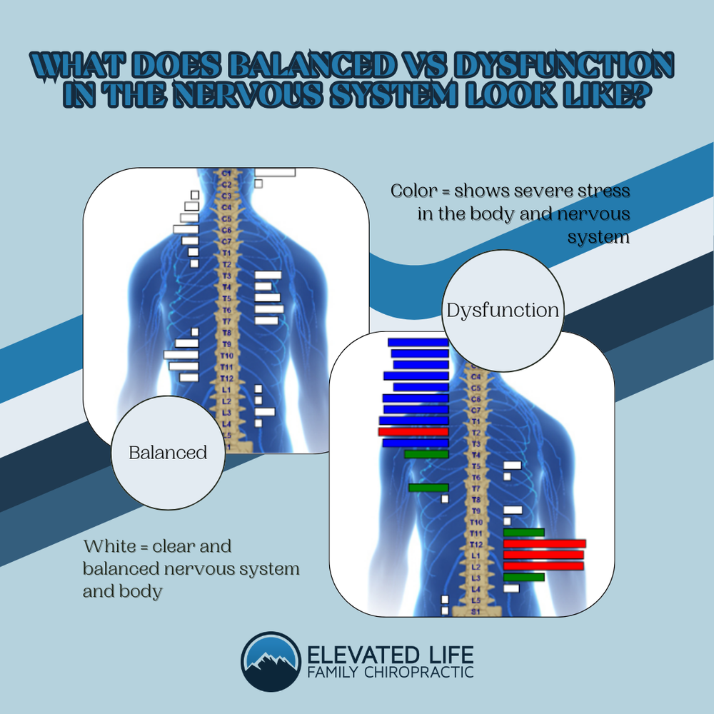 Balanced Vs. Dysfunction — Elevated Life Family Chiropractic