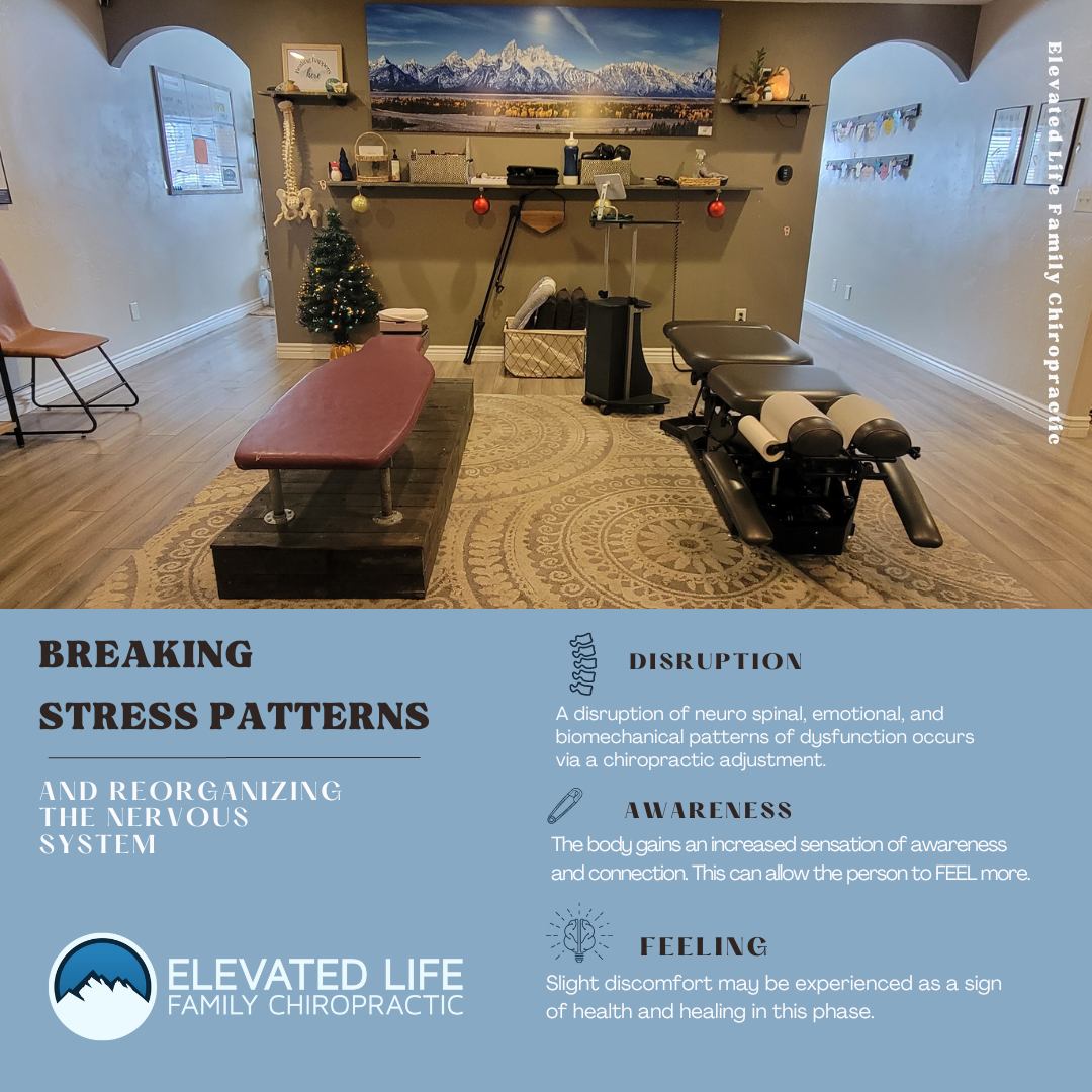 Phases of Healing Pt 1 — Elevated Life Family Chiropractic
