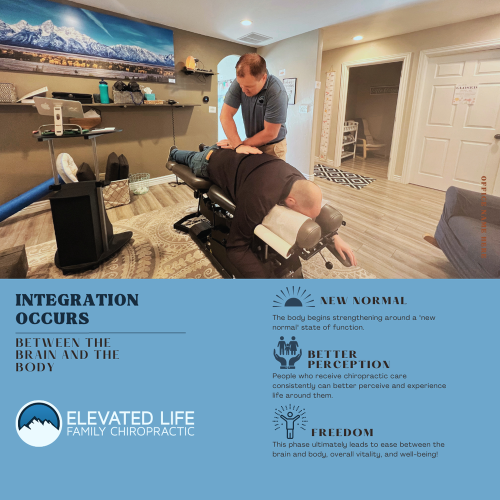 Phases of Healing Pt 2 — Elevated Life Family Chiropractic