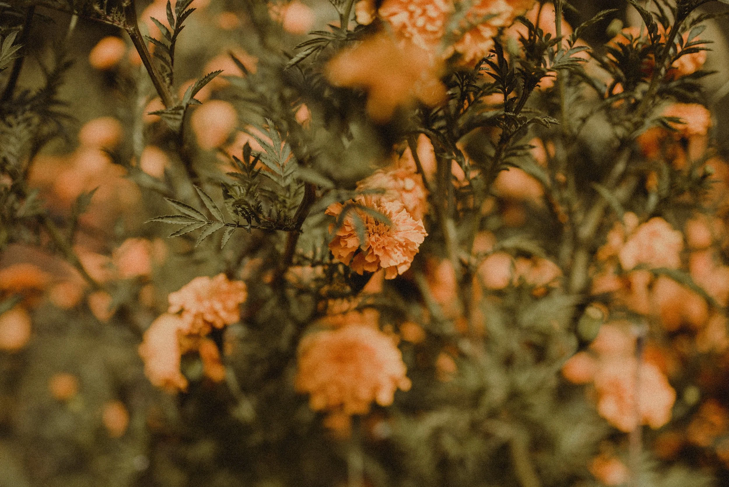 Andina Restaurant - Portland, OR