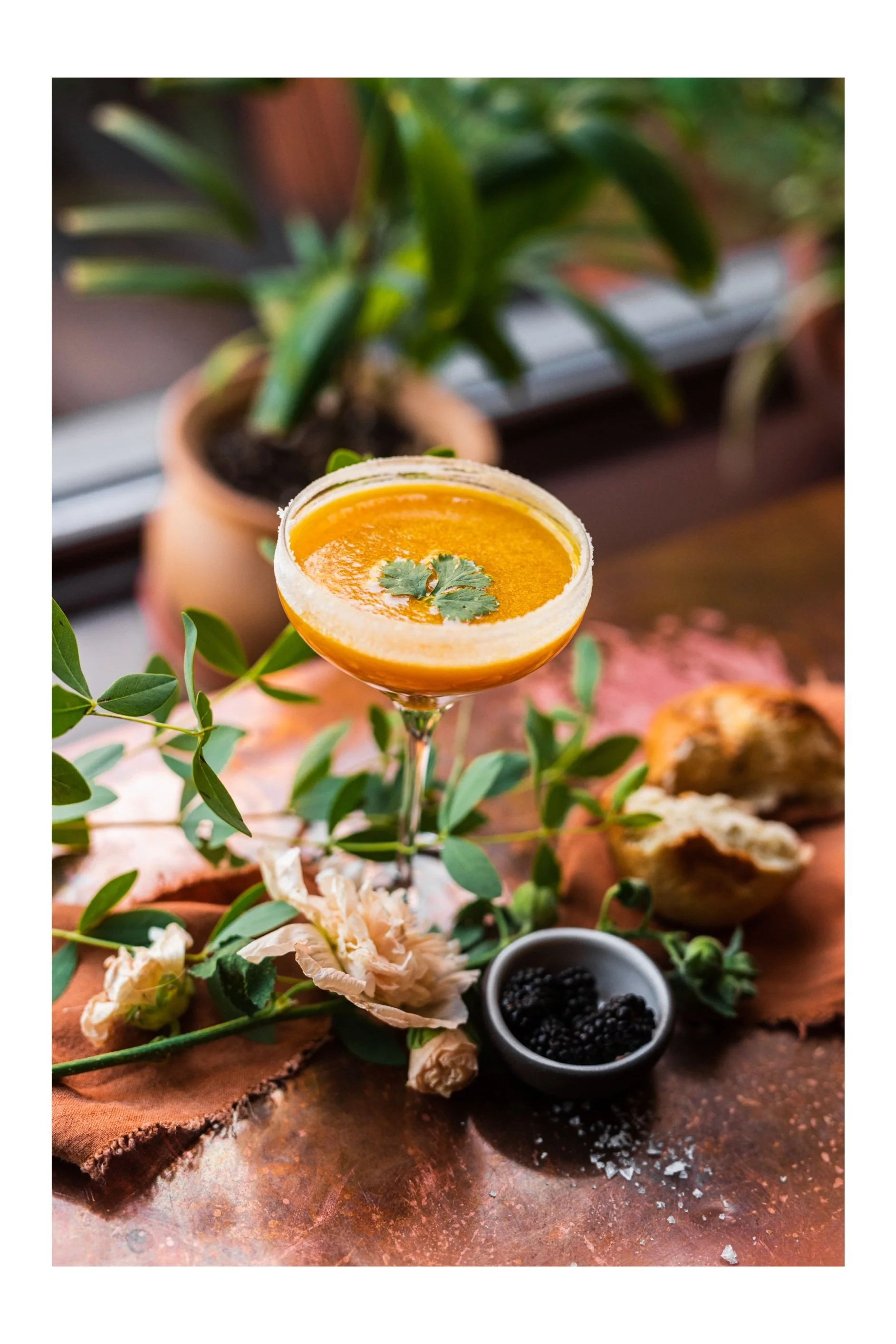 Drinks — Andina Restaurant
