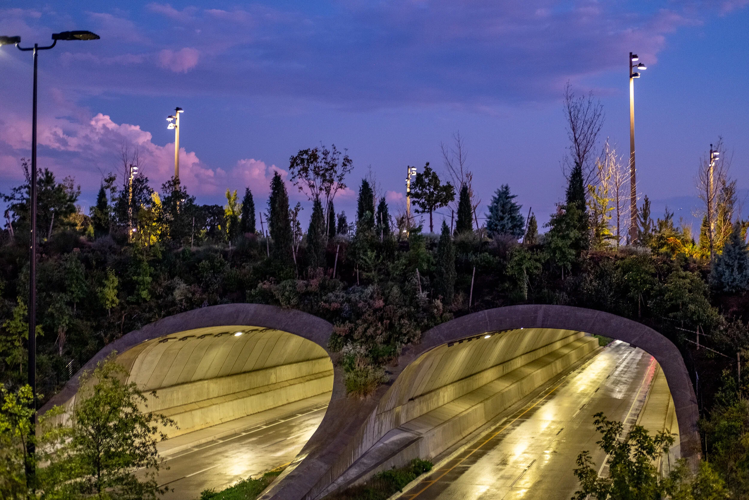 Gallery - Homeland • Oklahoma — Anitra Lavanhar