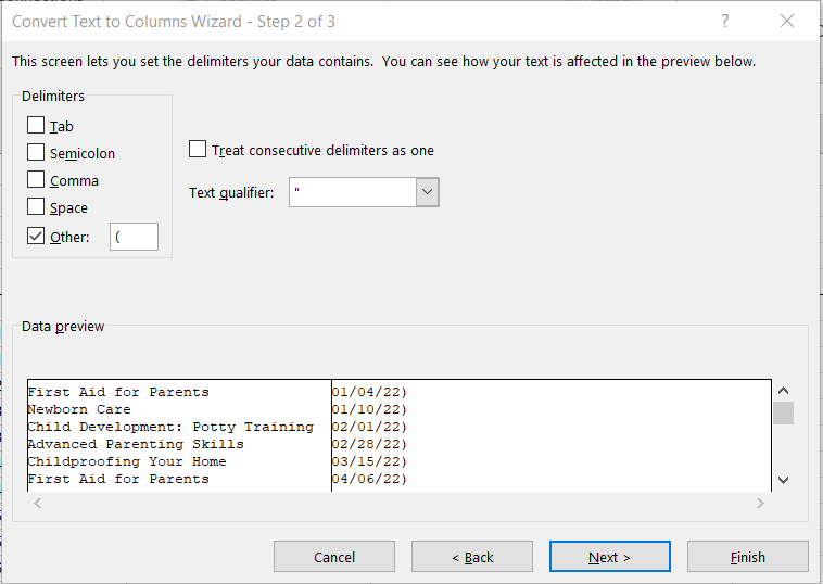 How to Use Text-to-Columns in Excel — Altruic Advisors