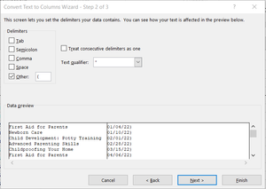 How to Use Text-to-Columns in Excel — Altruic Advisors