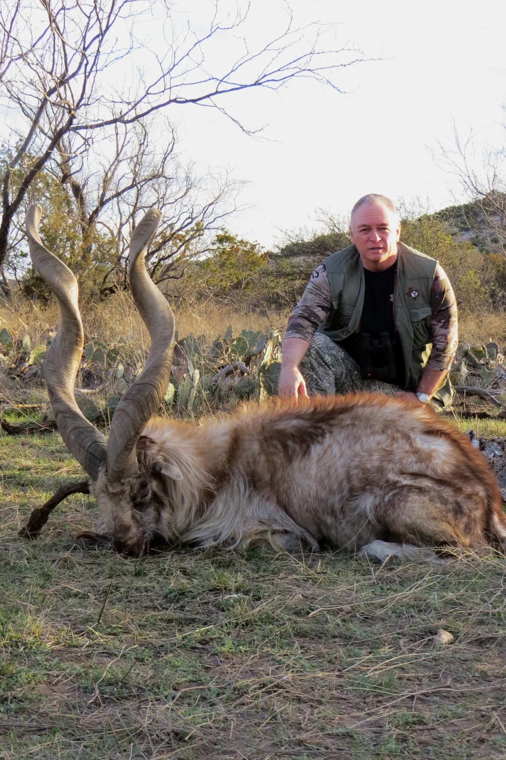 MARKHOR — Texas Divide Ranch