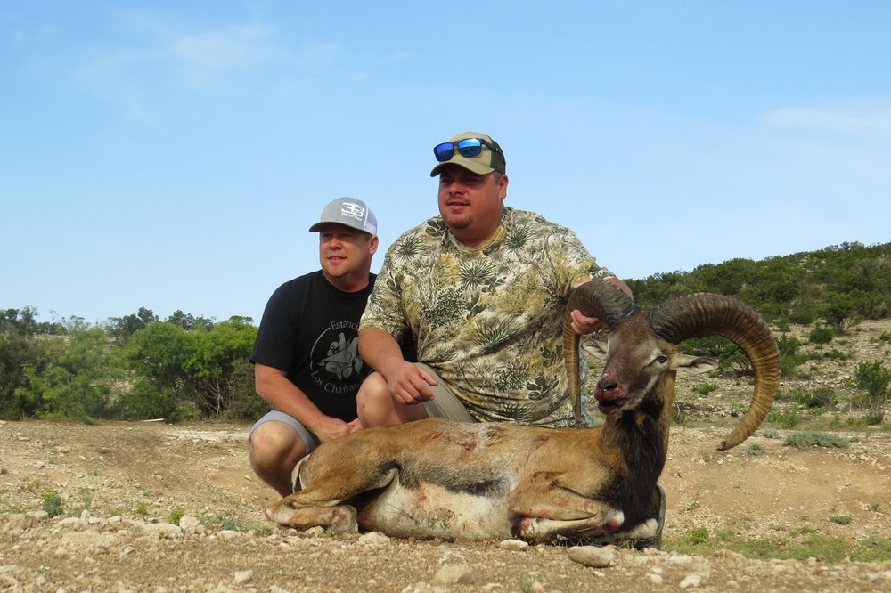 STUMBERG — Texas Divide Ranch