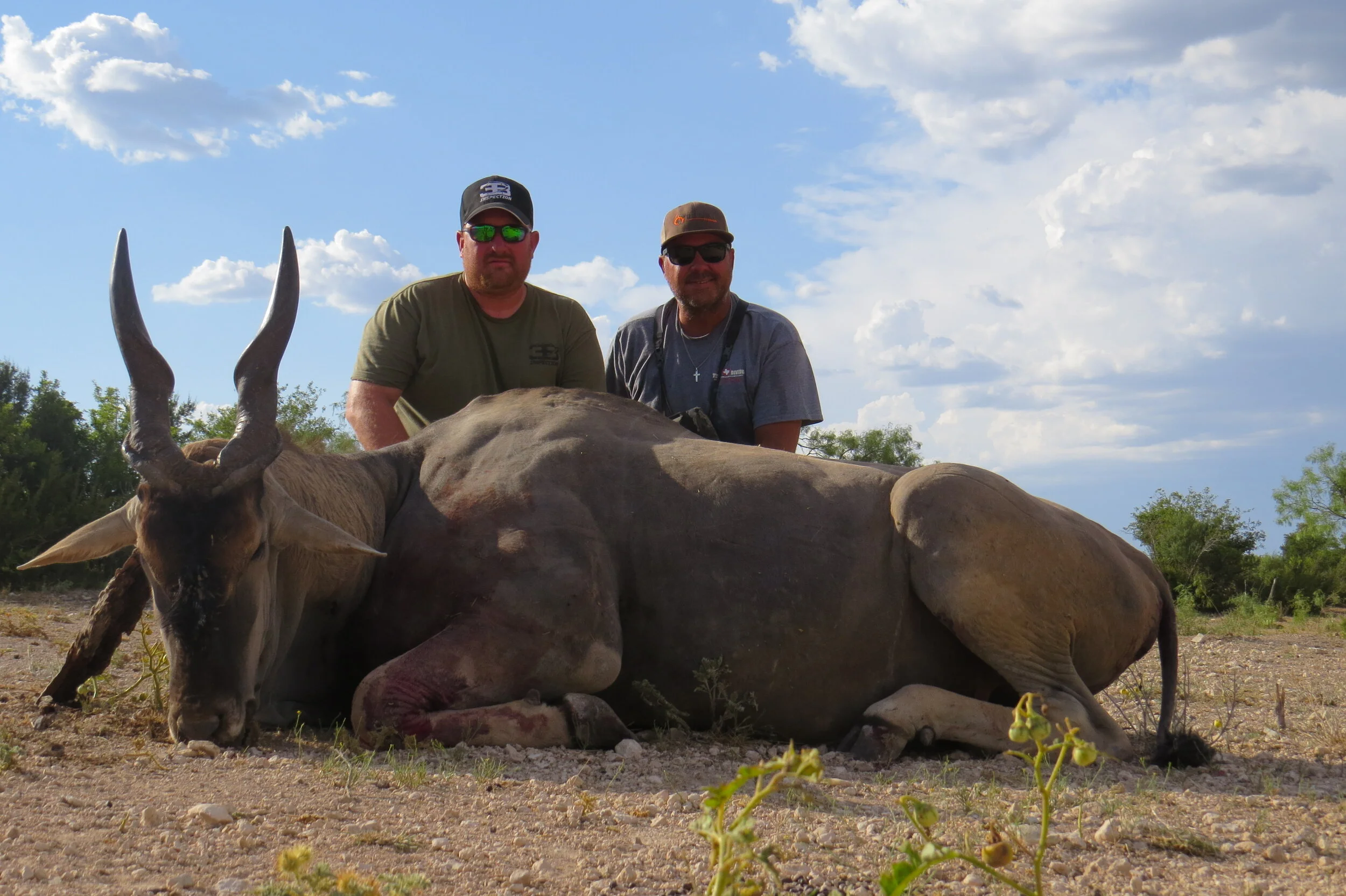ELAND — Texas Divide Ranch