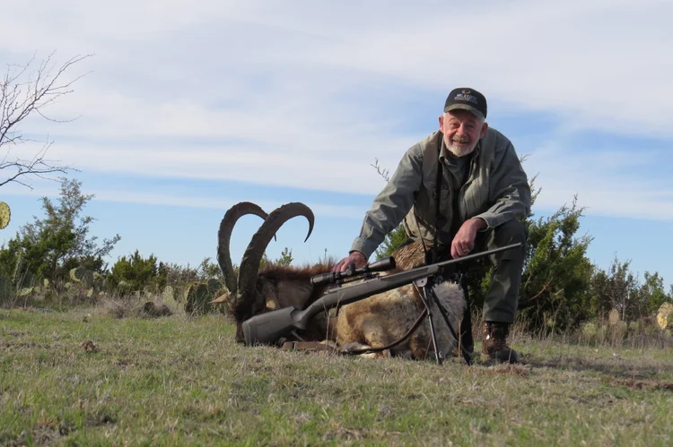Ibex - Persian — Texas Divide Ranch