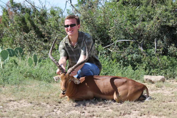 Impala — Texas Divide Ranch