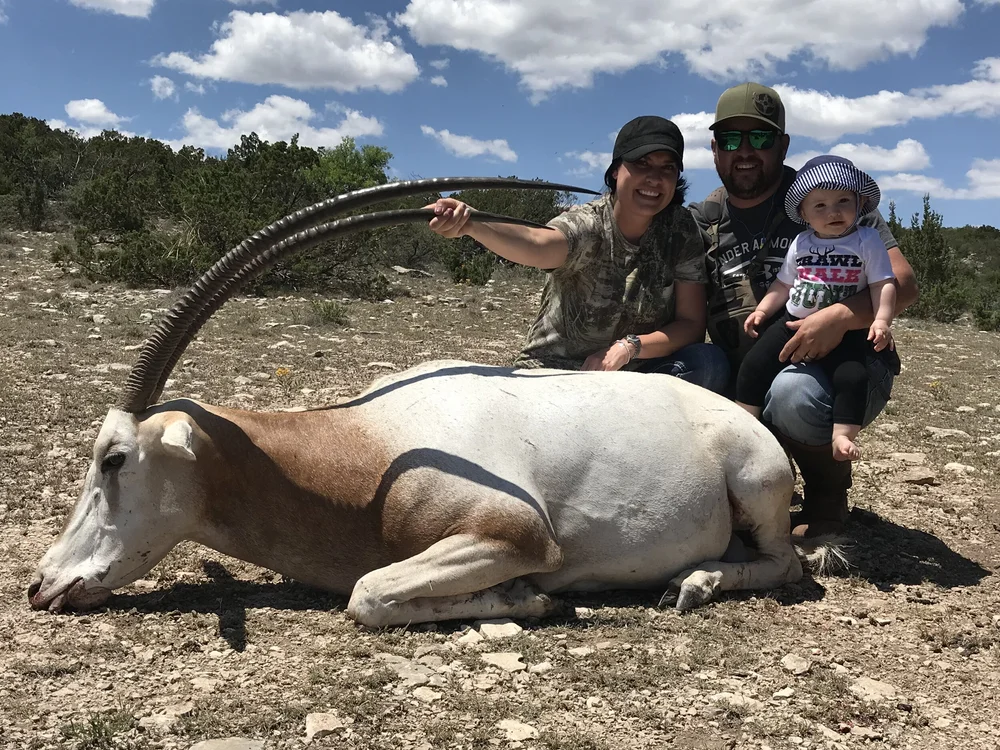 SCIMITAR ORYX — Texas Divide Ranch