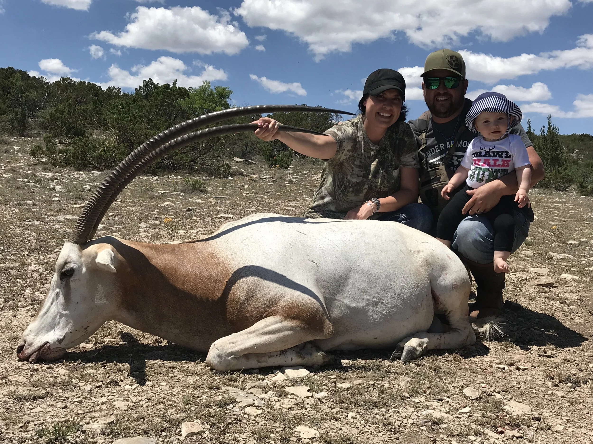 SCIMITAR ORYX — Texas Divide Ranch
