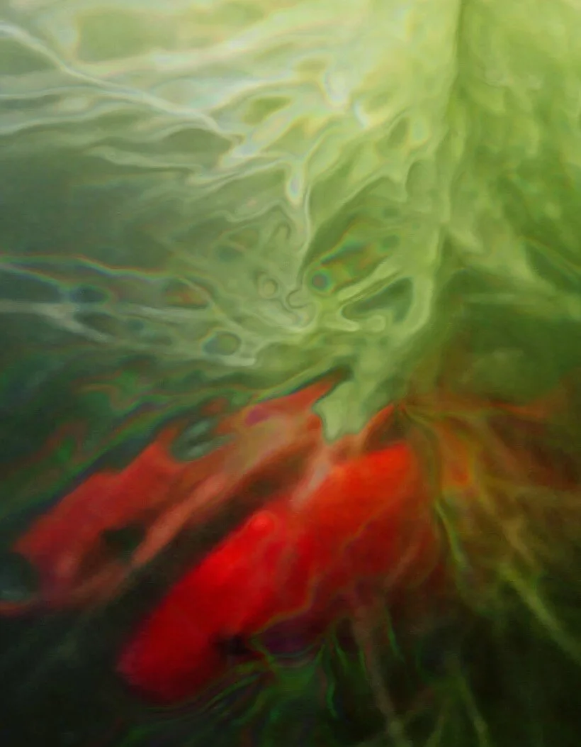 Live Action - The Fish — Marisa Rowan