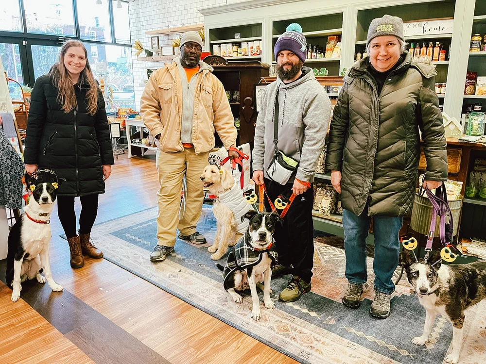Group Obedience Class in Newark, Delaware — Chaos to Calm K9 Training