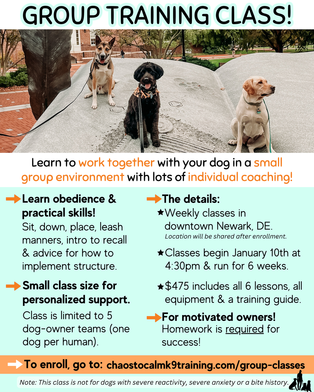 Group Obedience Class in Newark, Delaware — Chaos to Calm K9 Training