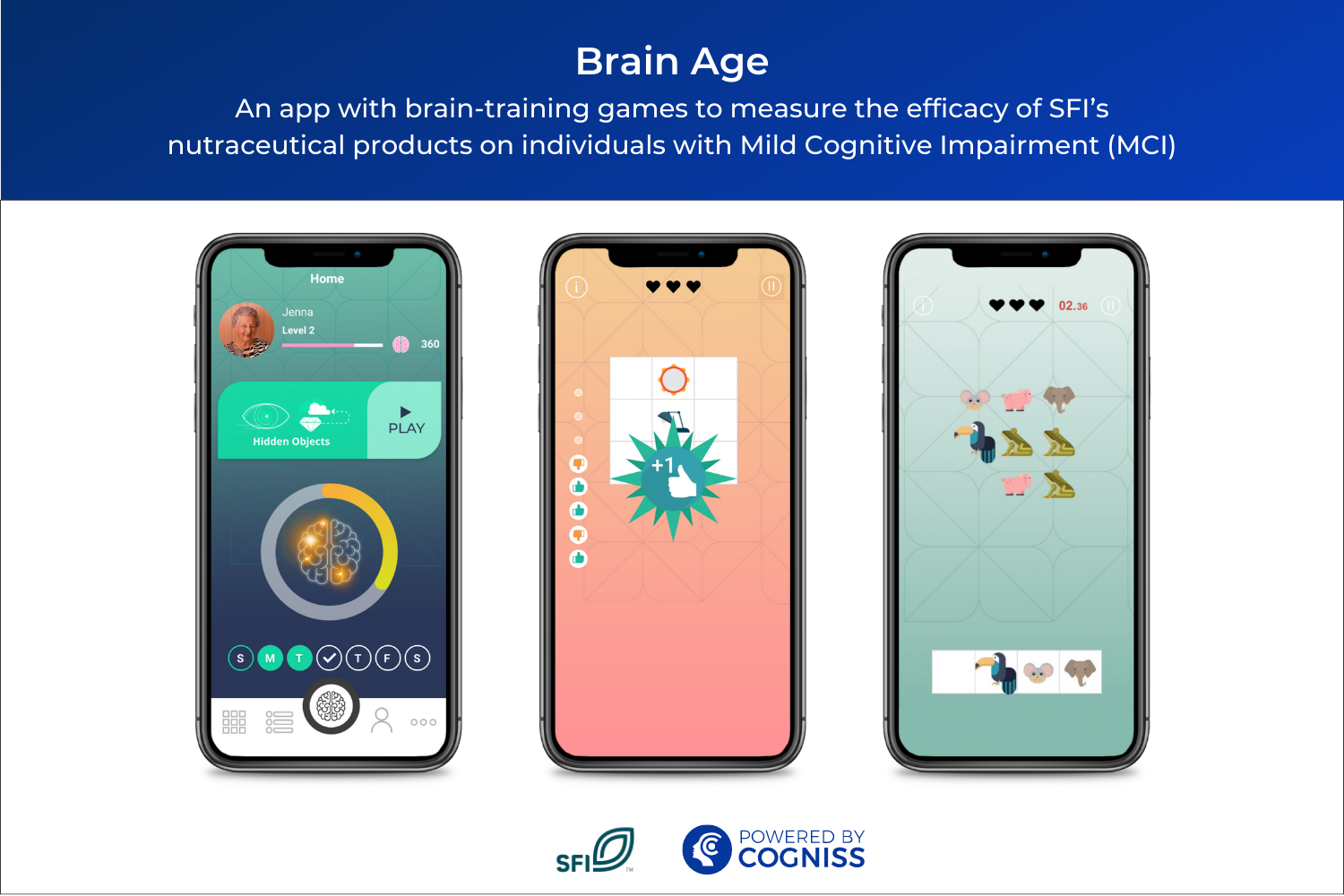 How to create an MVP app: A step-by-step guide (2023) | Cogniss: The no ...