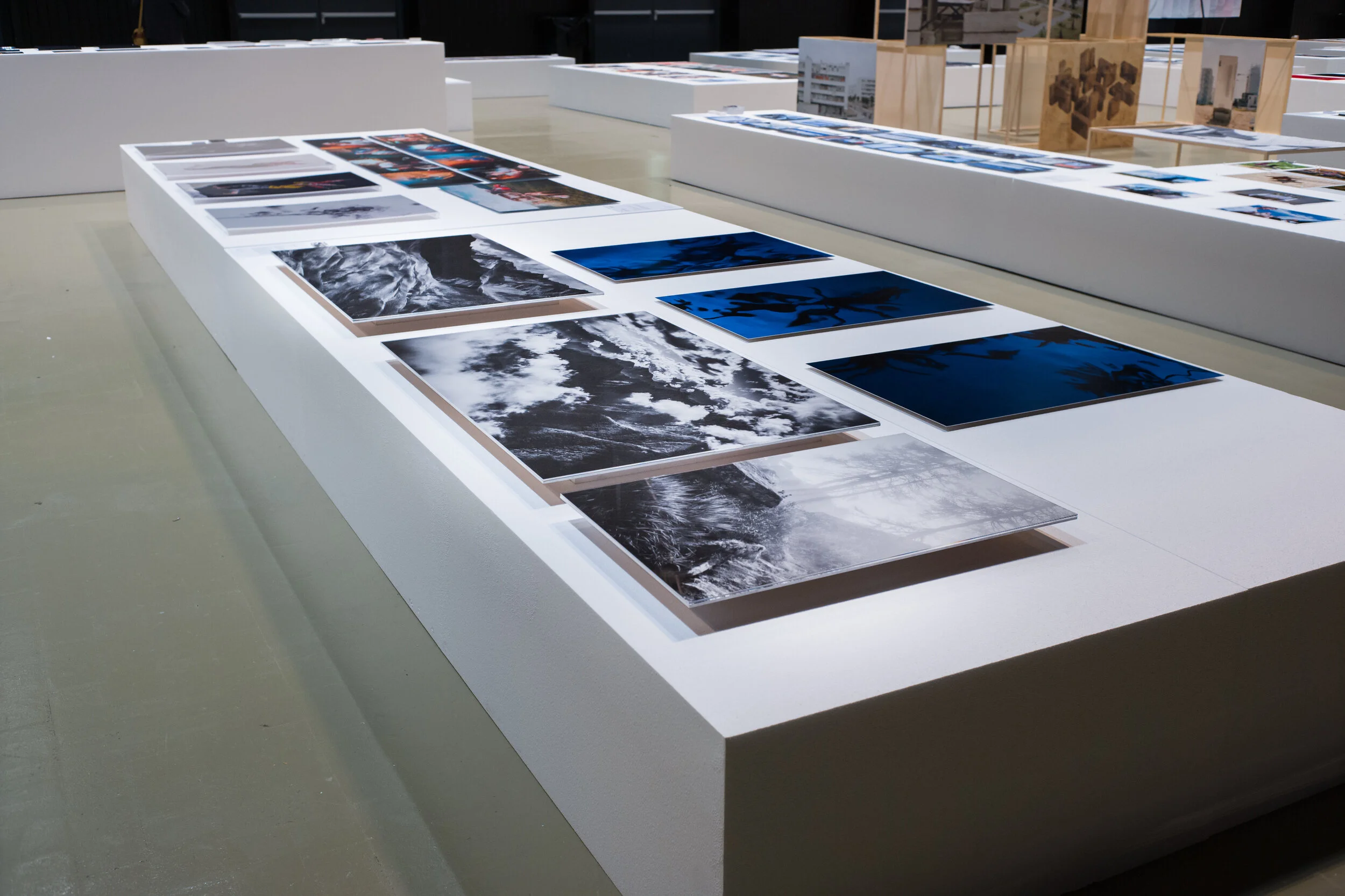 Fine Art — Caroline Fink