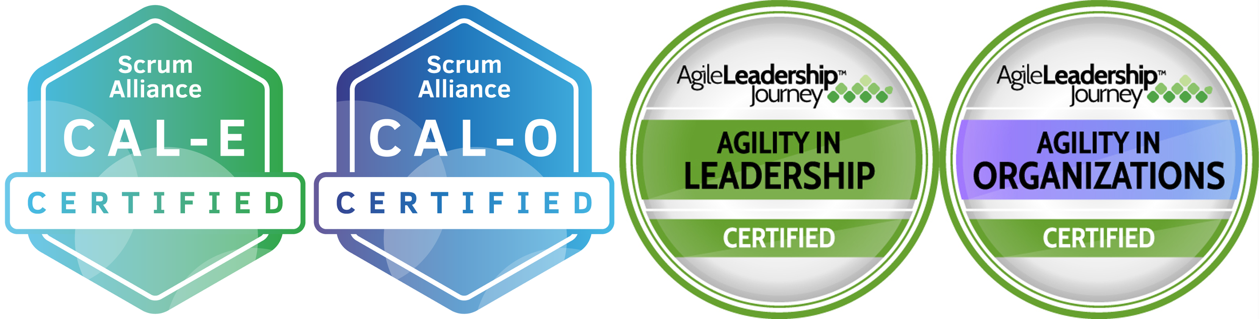 Agility 11 - Certified Agile Leadership training — Agility 11