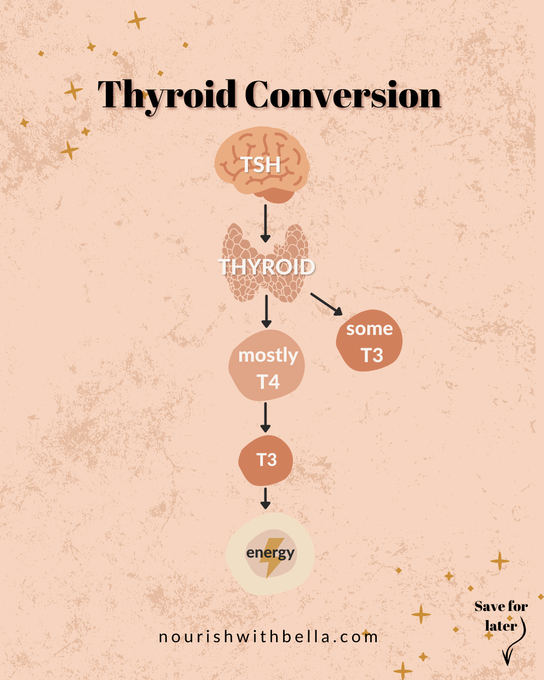 Thyroid Health: Function, Symptoms, Testing, Optimal Foods, Low levels ...