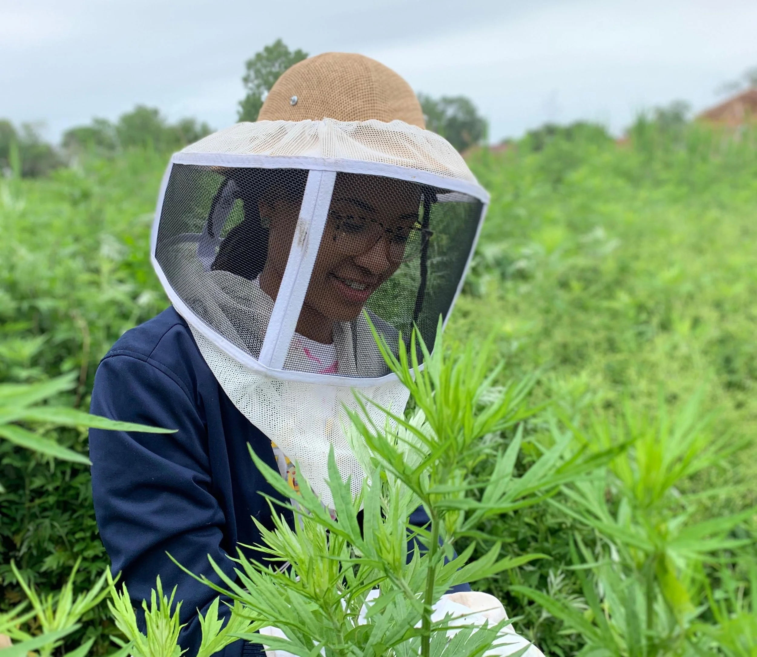 Beekeeping — Janelle Dunlap