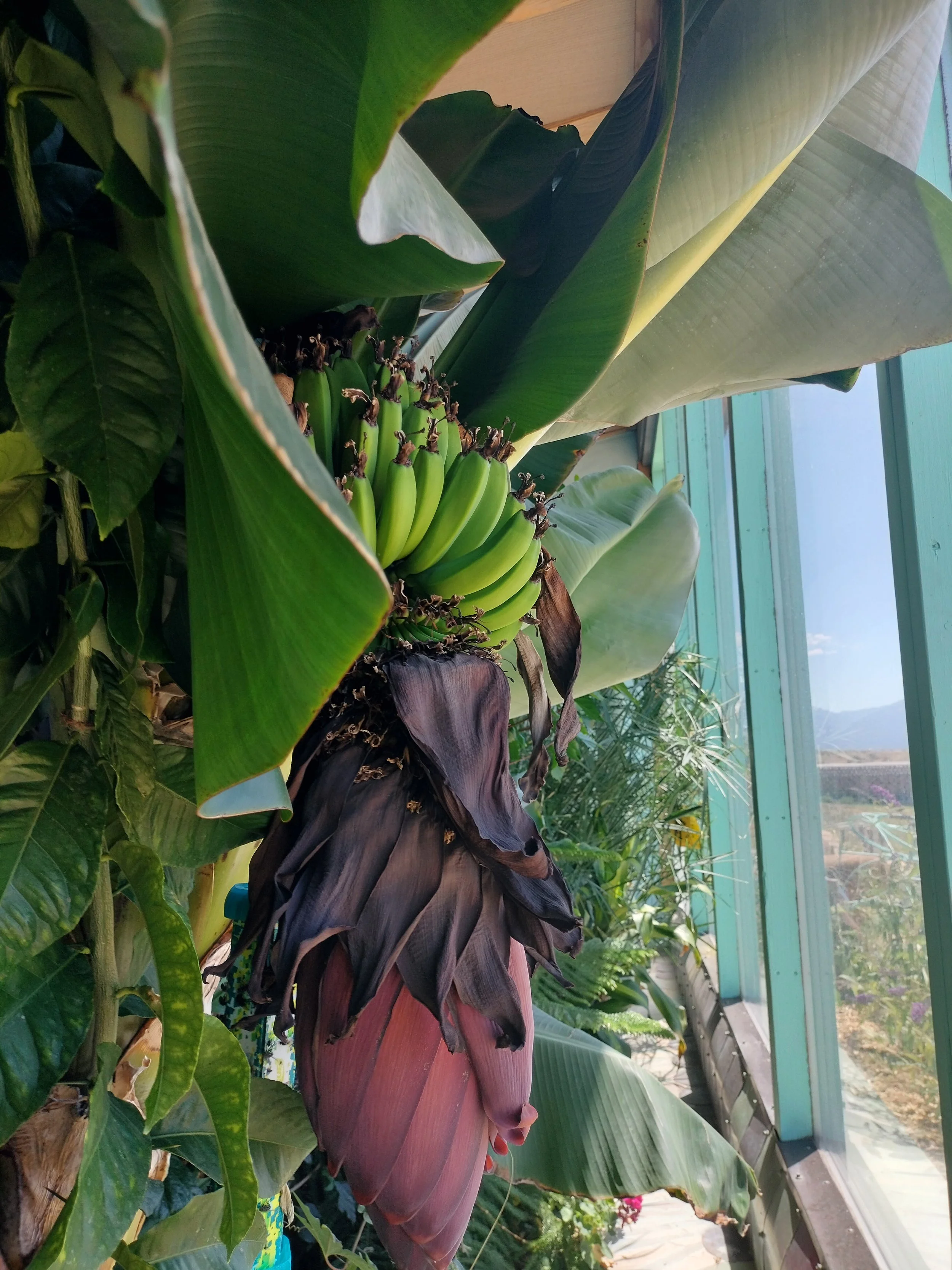 Exploring Sustainability Through Earthship Living: A Summer in Area 52 ...