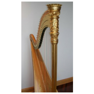 Recent Event Pictures and Videos of Judy Seghers — Harp Music by Judy