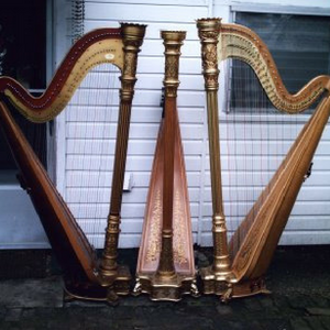 Recent Event Pictures and Videos of Judy Seghers — Harp Music by Judy