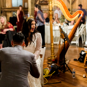 Recent Event Pictures and Videos of Judy Seghers — Harp Music by Judy