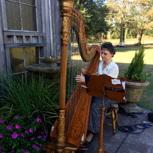 Recent Event Pictures and Videos of Judy Seghers — Harp Music by Judy