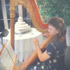 Pricing and Rates for Harp Music by Judy — Harp Music by Judy