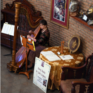 Recent Event Pictures and Videos of Judy Seghers — Harp Music by Judy