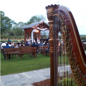 Recent Event Pictures and Videos of Judy Seghers — Harp Music by Judy
