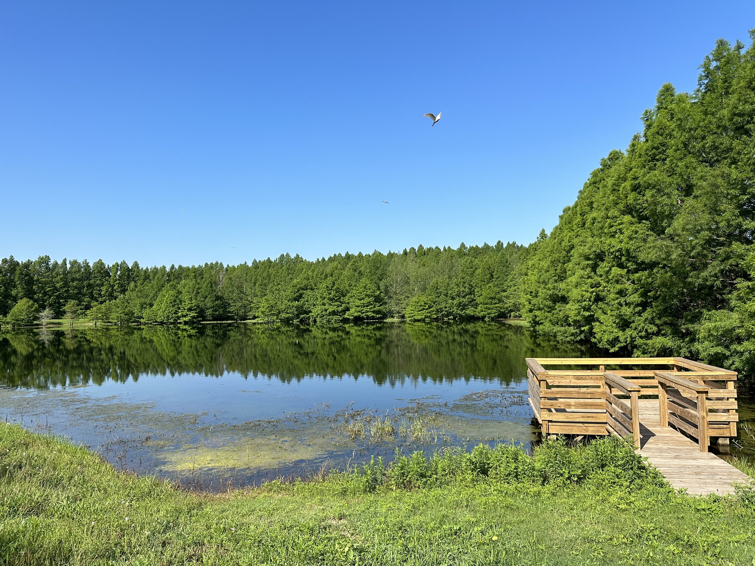 Harrison-Long Point — The James B. Harrison Foundation