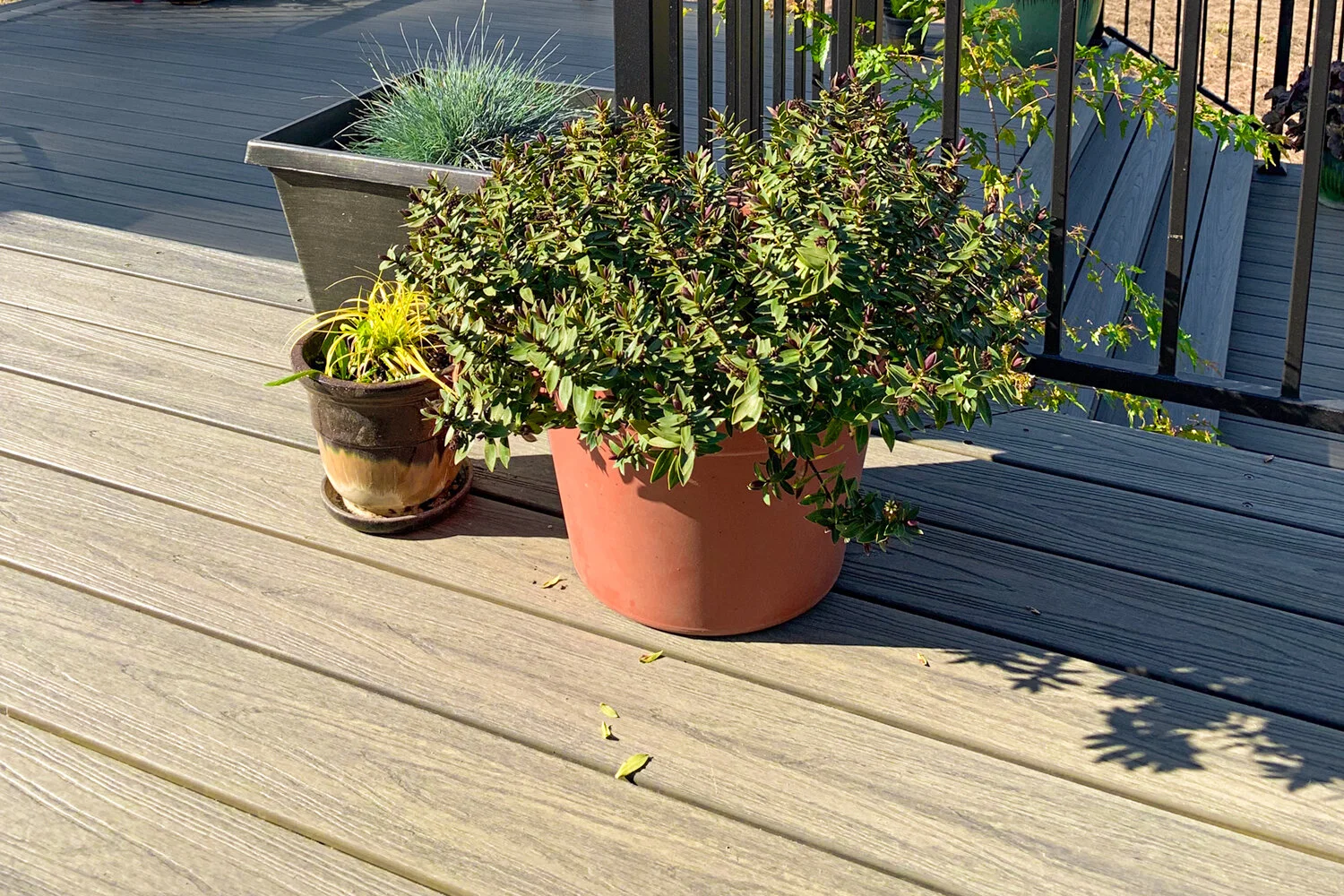 Sylvanix Resources | Installation | Maintenance | FAQs | Product Guide ...