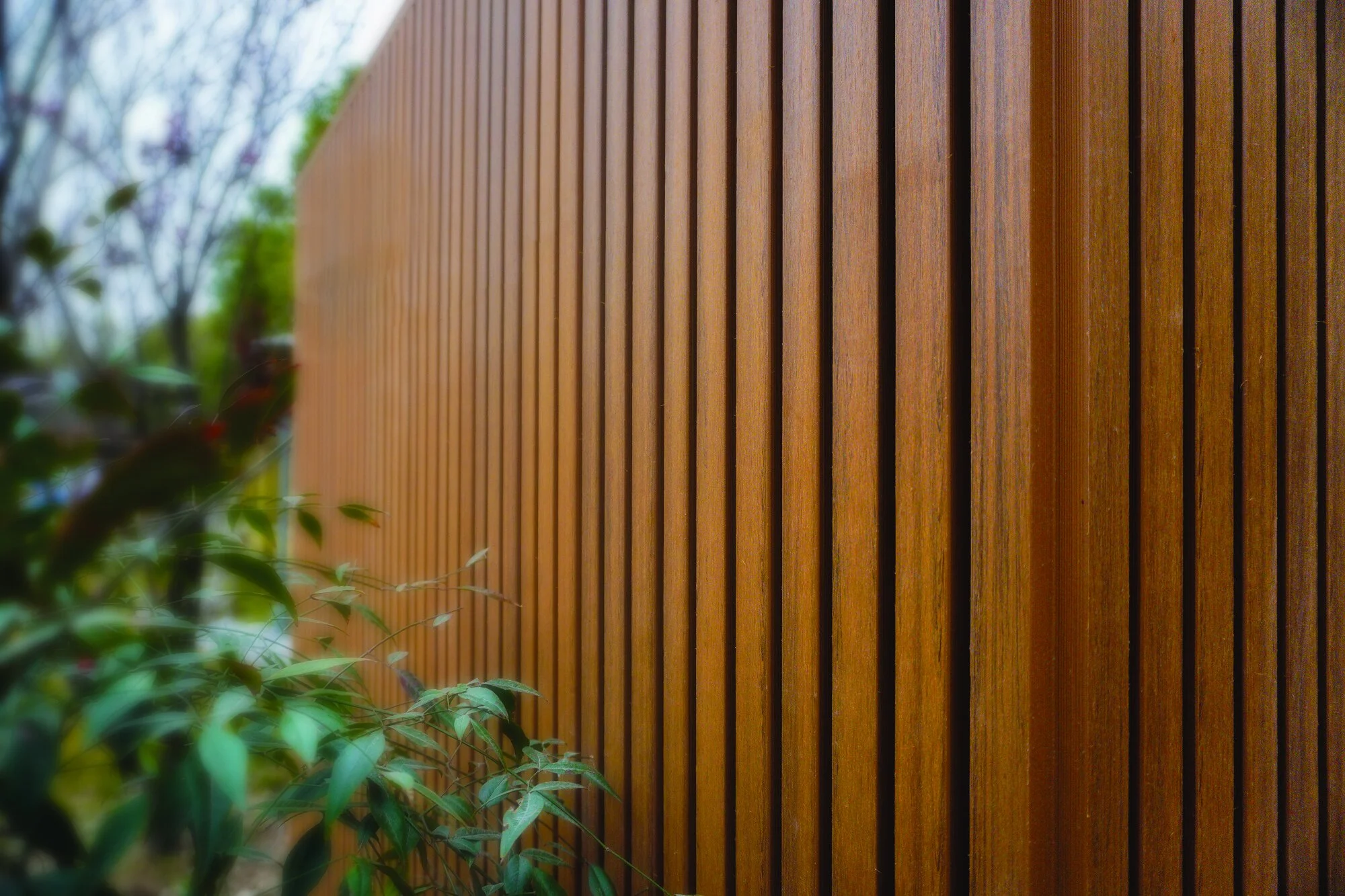 Composite Cladding | Eco-friendly | Sylvanix Soar Signature — Sylvanix ...