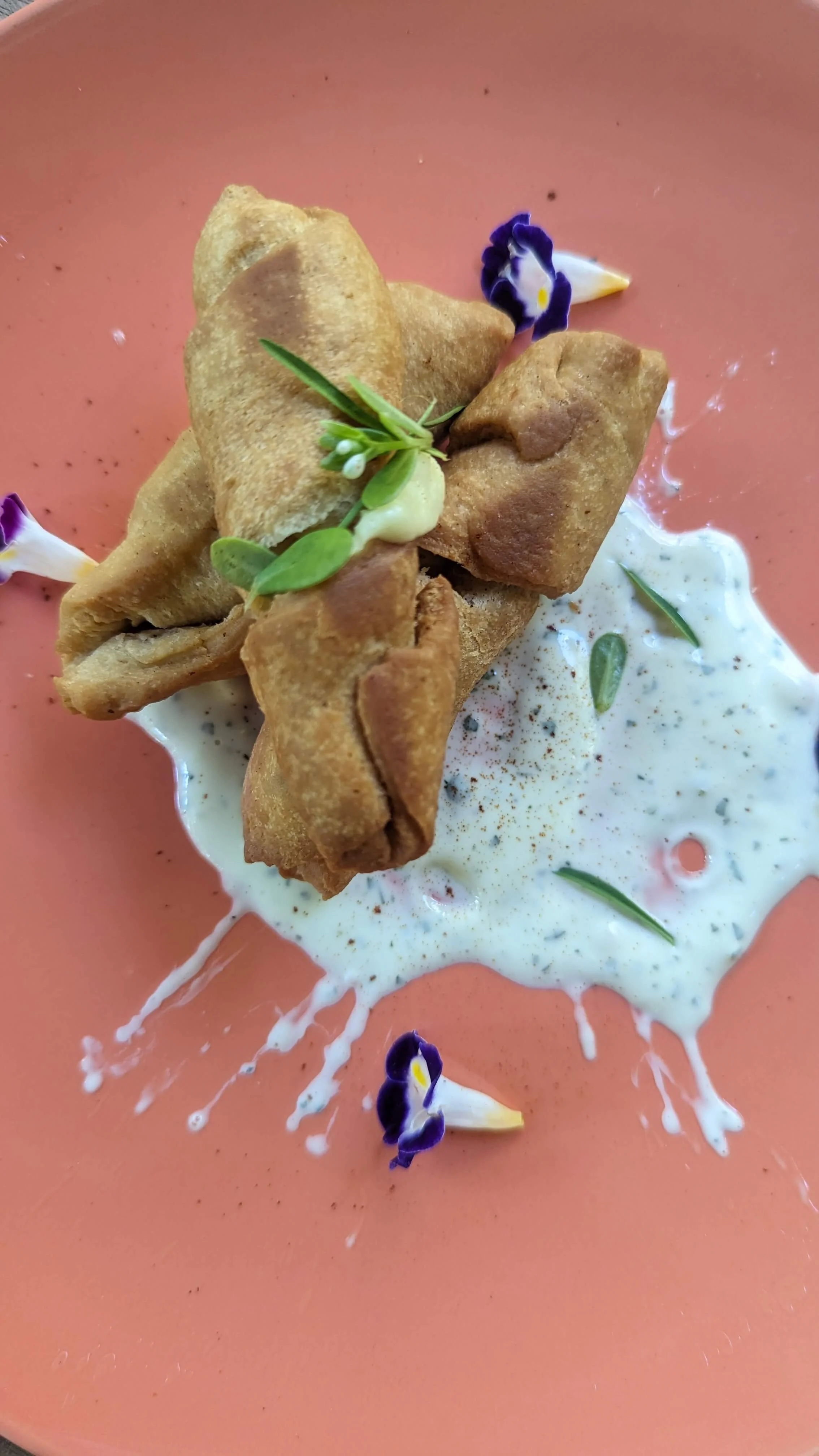 Zapote menu — Selvista