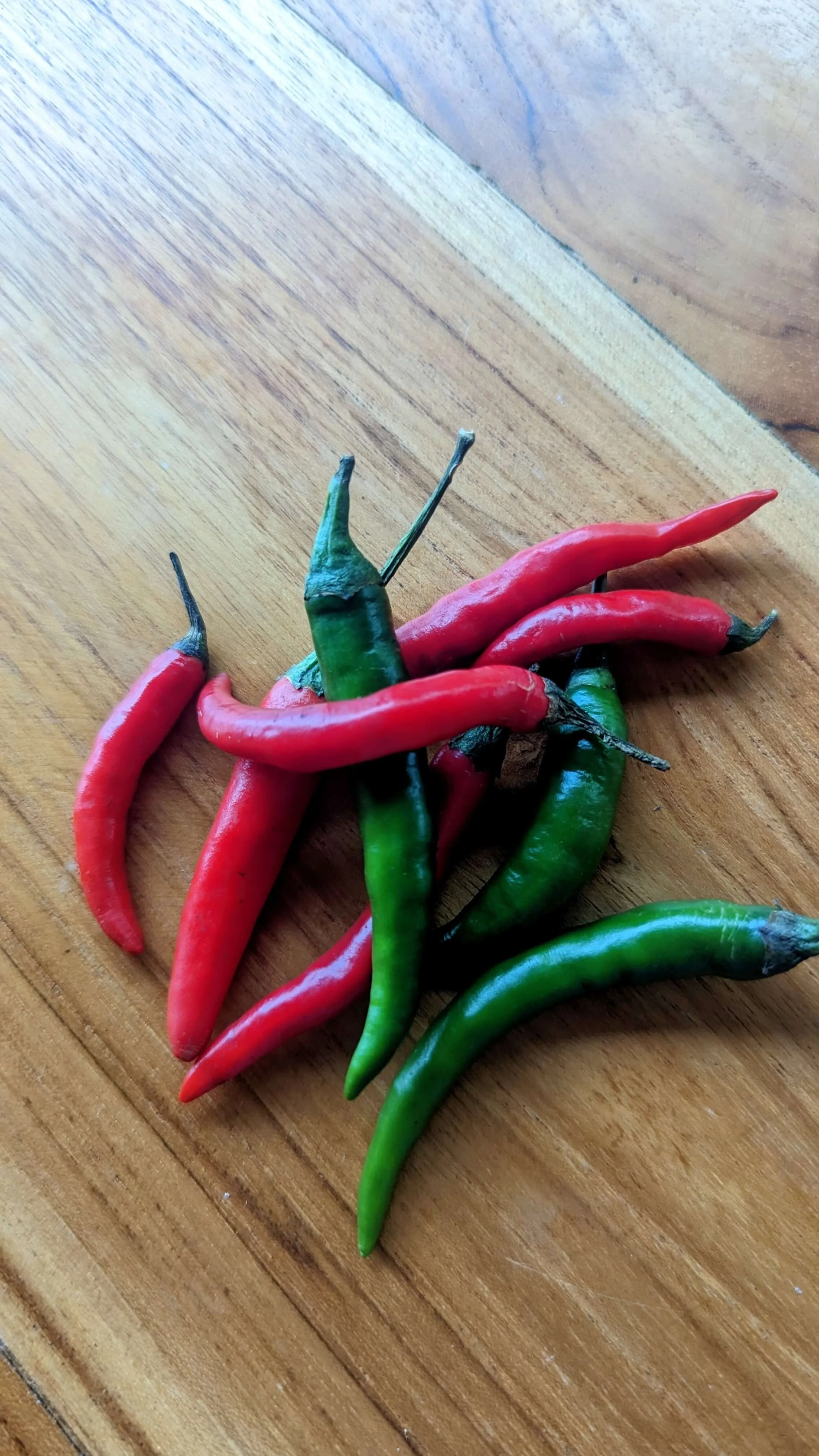 Zapote menu — Selvista