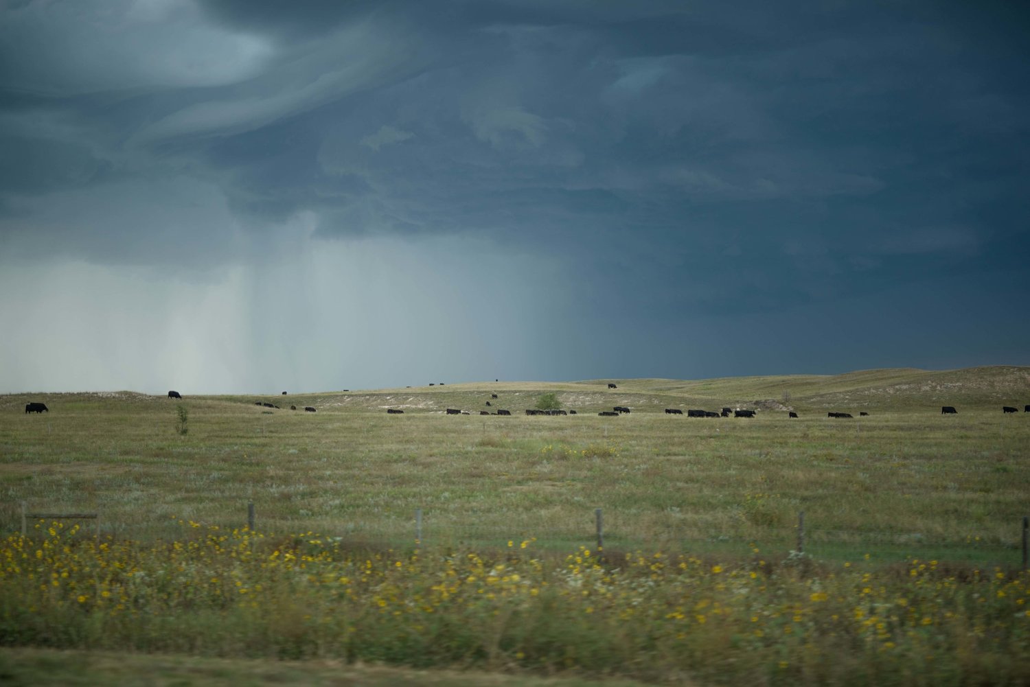 A Weekend in Western Nebraska — M See Creative