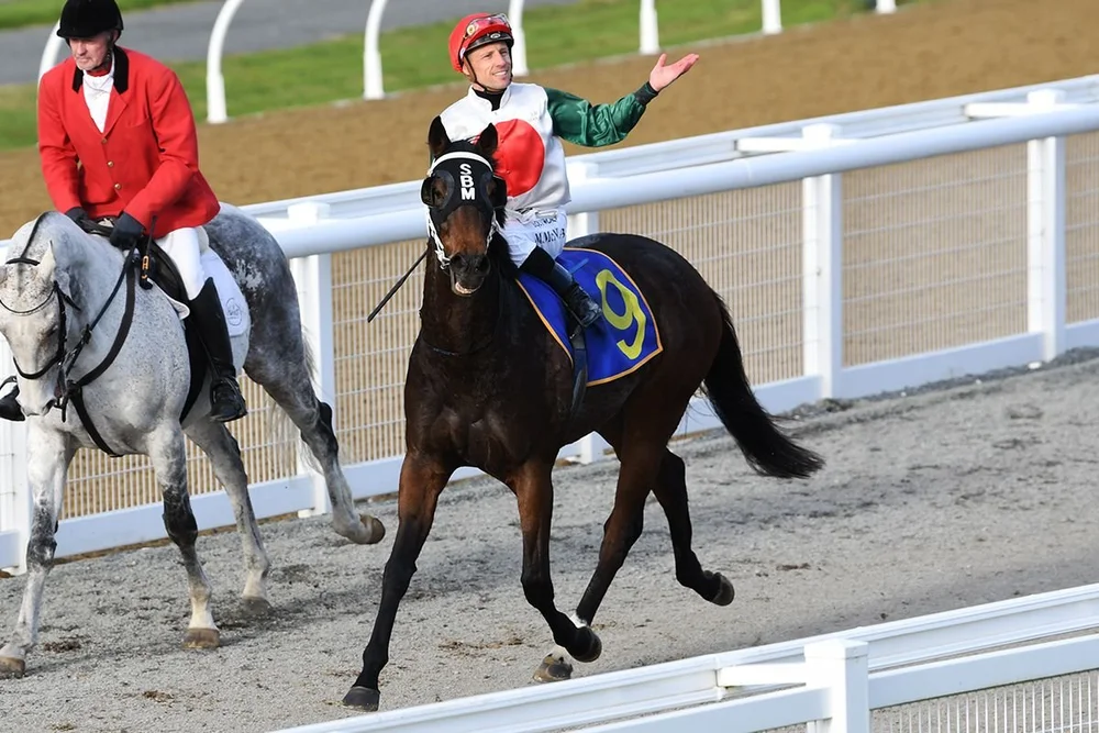 Newsletters — Marsh Racing